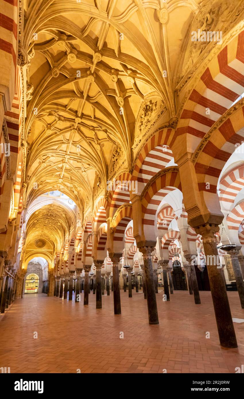 Interior of The Mosque (Mezquita) and Cathedral of Cordoba, UNESCO ...