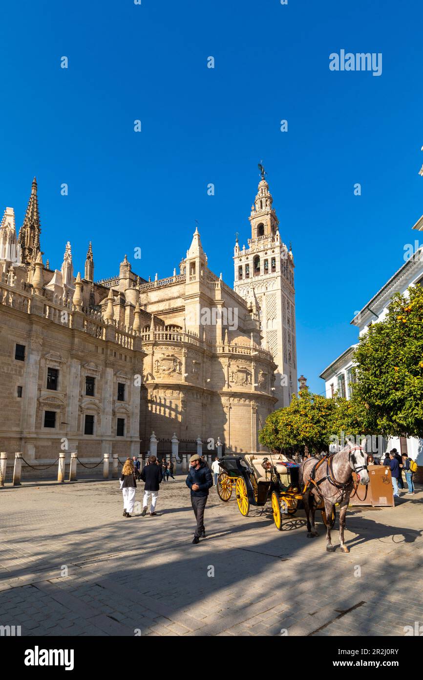 Seville Cathedral Exterior, UNESCO World Heritage Site, Seville ...