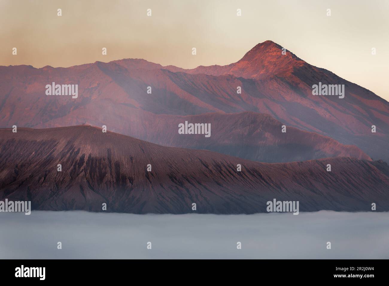 Magical sunrise mood at Bromo, Java, Indonesia Stock Photo - Alamy