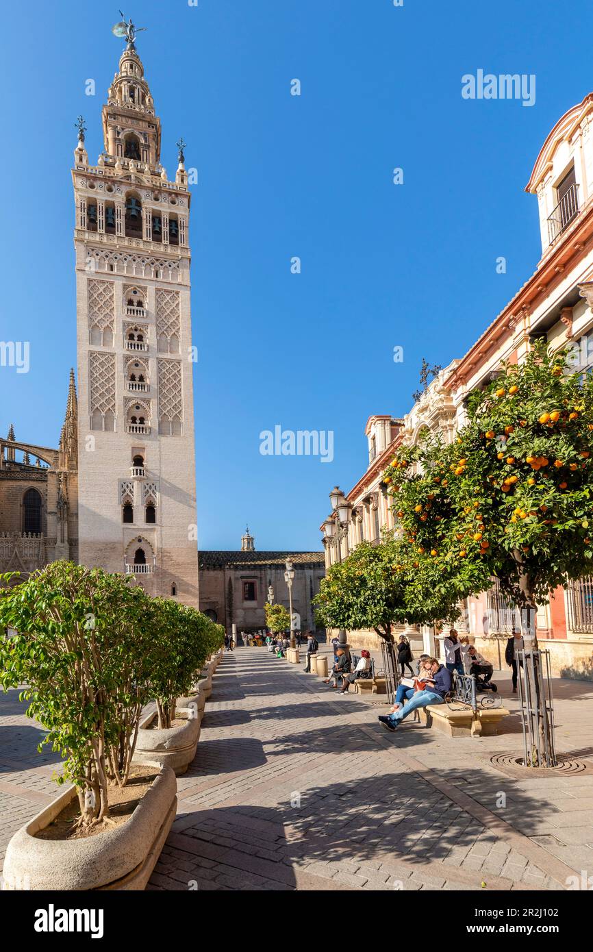 Seville Cathedral Exterior, UNESCO World Heritage Site, Seville ...