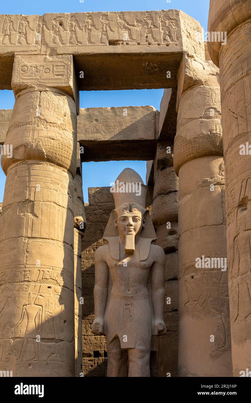 Statue of Ramesses ll, Luxor Temple, Luxor, Thebes, UNESCO World ...
