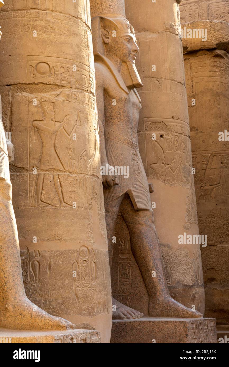 Statue of Ramesses ll, Luxor Temple, Luxor, Thebes, UNESCO World ...