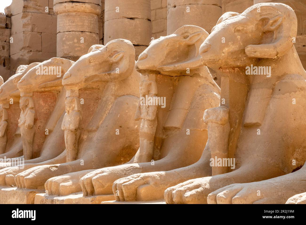 The Avenue of Ram Headed Sphinxes, Karnak Temple, Luxor, Thebes, UNESCO ...
