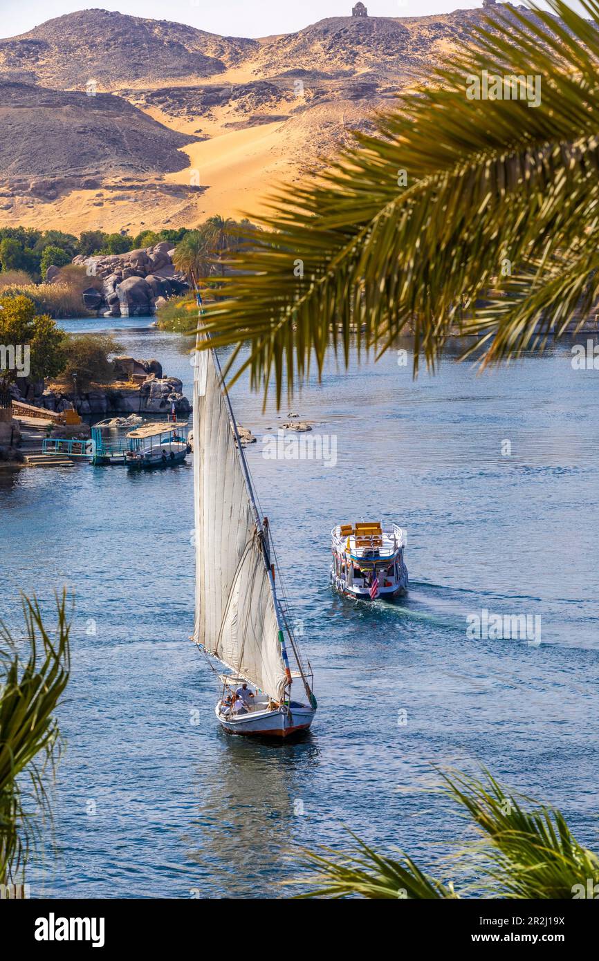Feluccas on the River Nile, Aswan, Egypt, North Africa, Africa Stock ...
