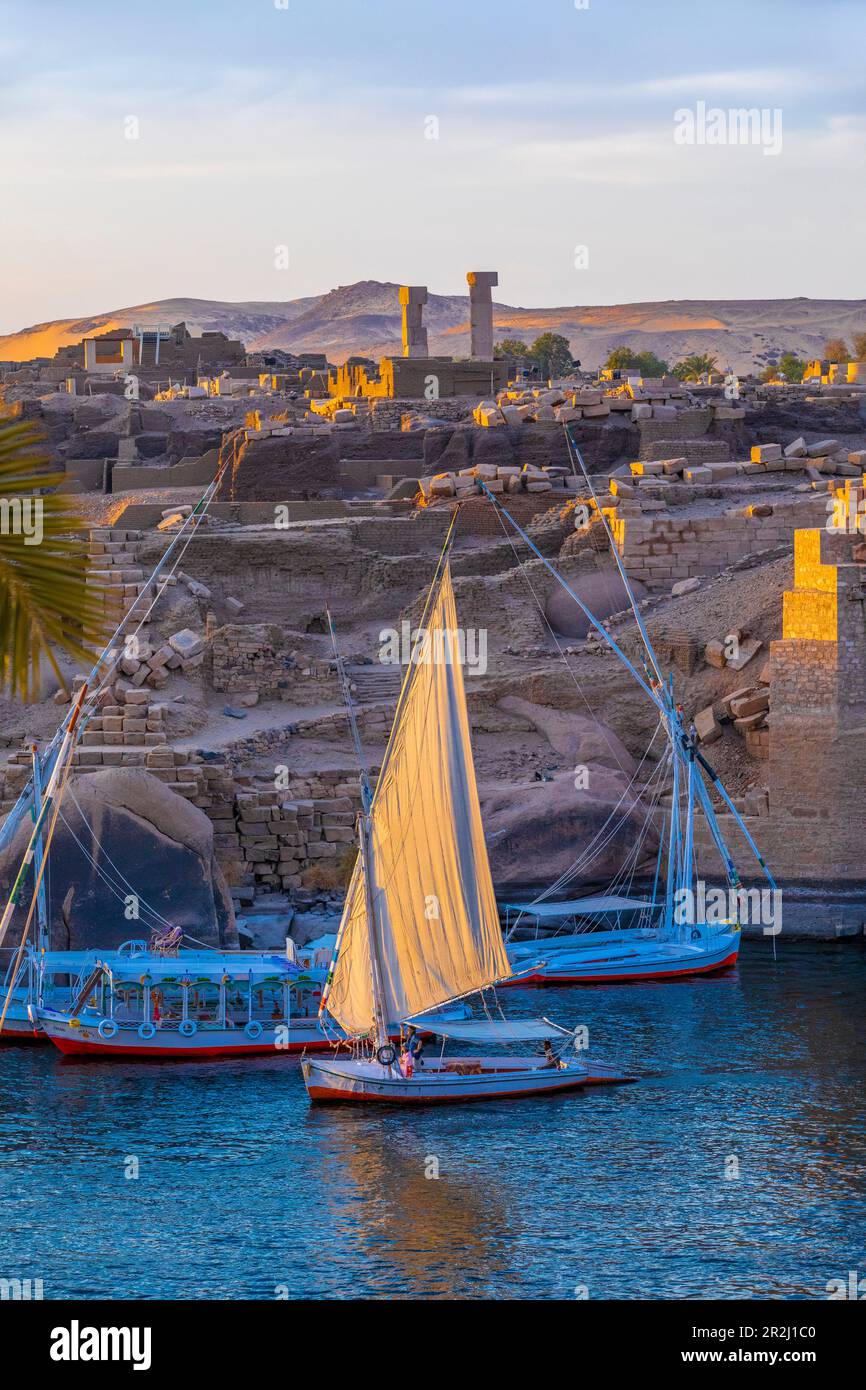 Feluccas on The River Nile, Aswan, Egypt, North Africa, Africa Stock ...