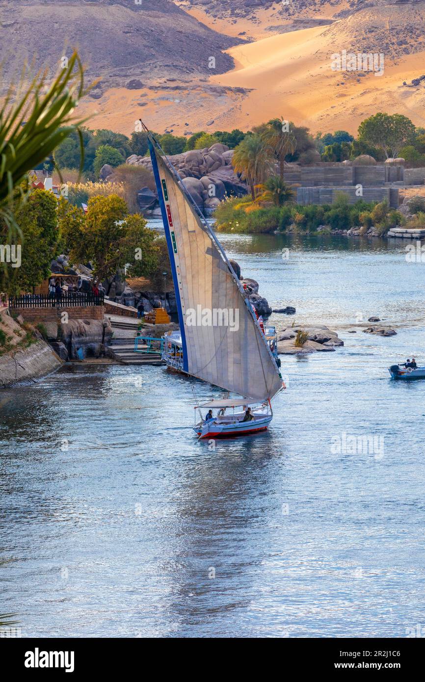 Feluccas on The River Nile, Aswan, Egypt, North Africa, Africa Stock ...
