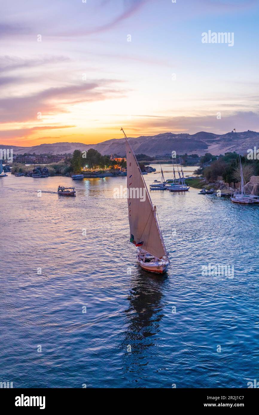 Feluccas on The River Nile at sunset, Aswan, Egypt, North Africa ...