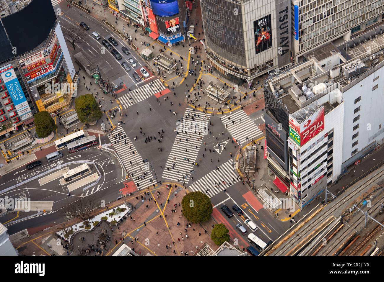 Aerial view of Shibuya crossing, Tokyo, Honshu, Japan, Asia Stock Photo - Alamy