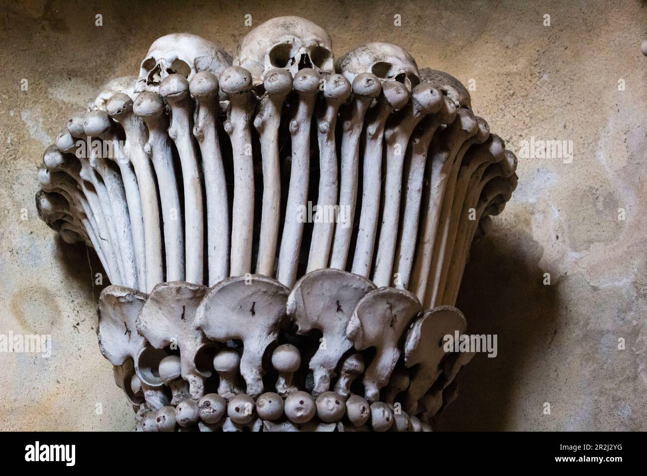 Human interior hi-res stock photography and images - Alamy