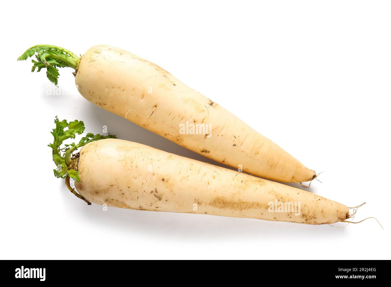 Fresh daikon radishes on white background Stock Photo - Alamy