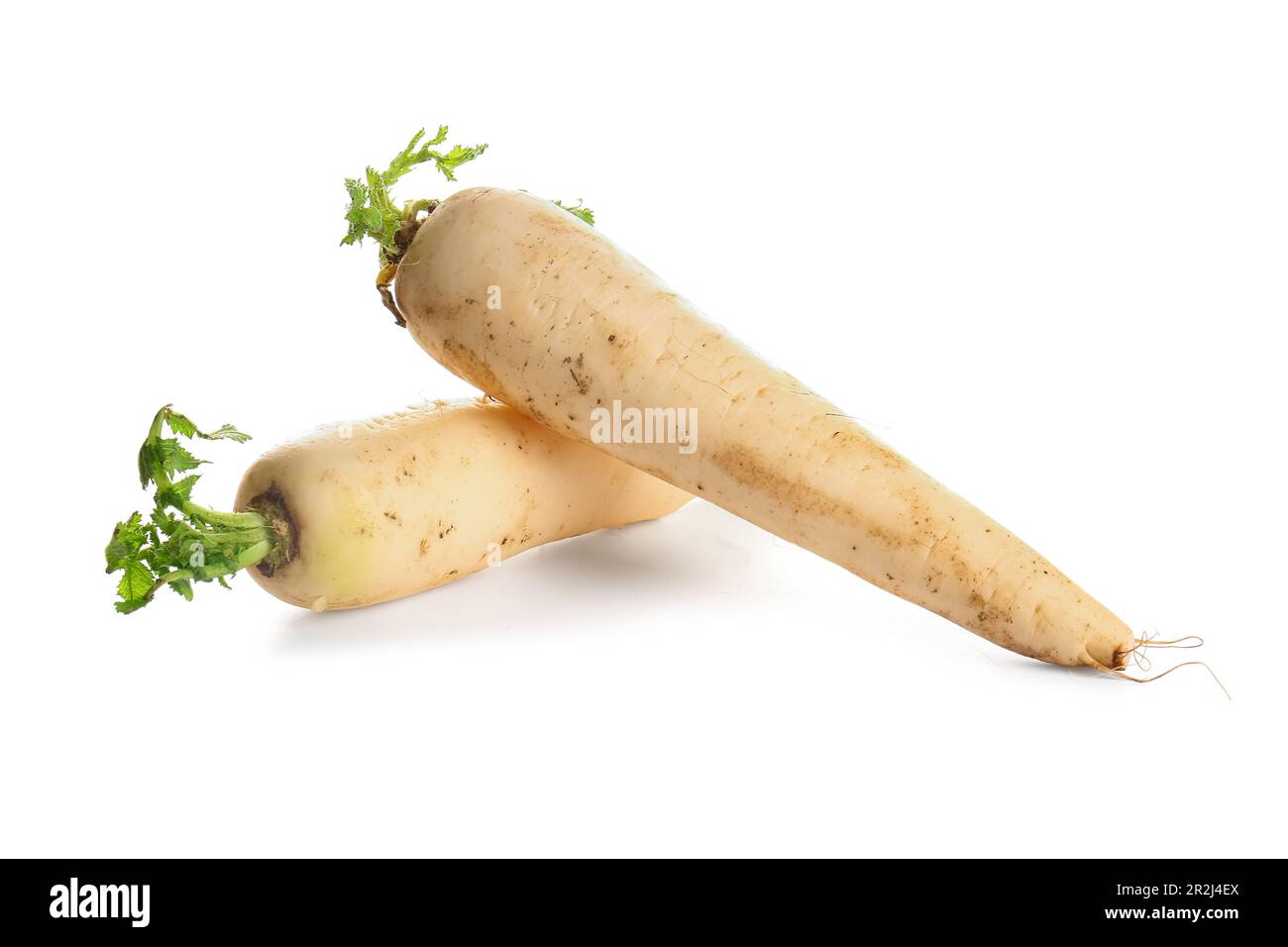Fresh daikon radishes on white background Stock Photo - Alamy