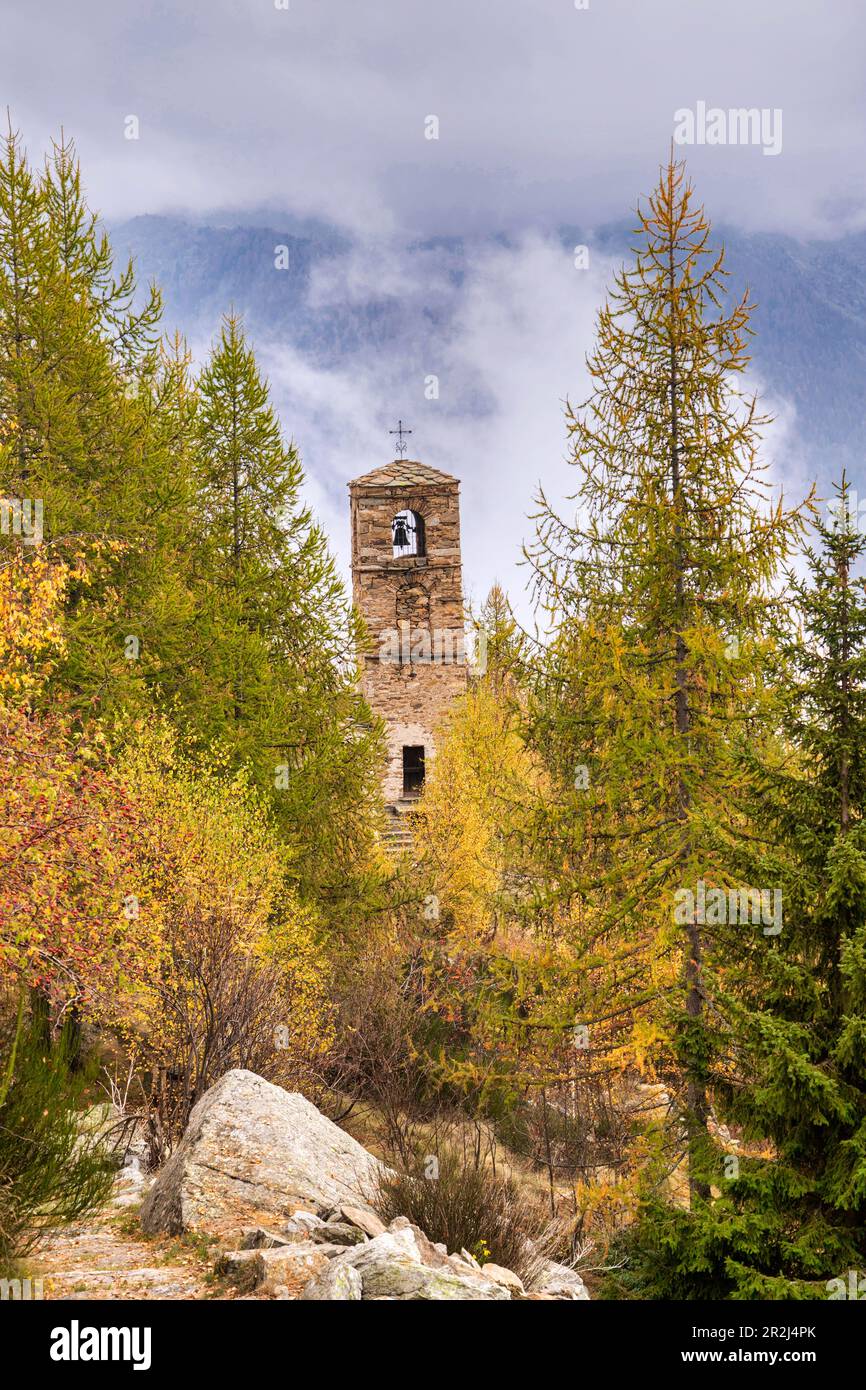 The bell tower of a church stands out among the trees. Lys Valley ...