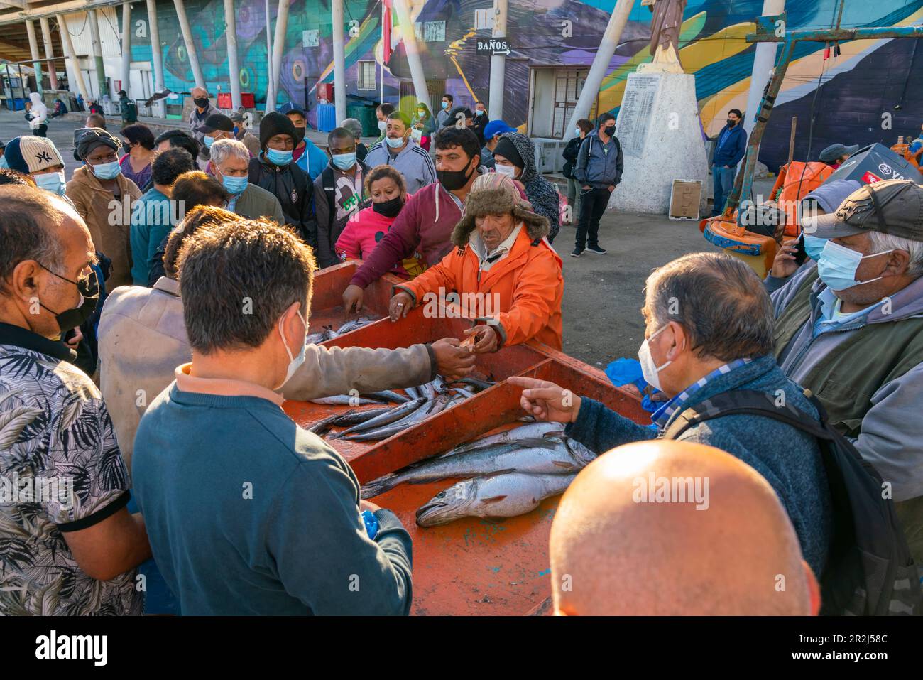 People buying fresh fish at market, Caleta Portales, Valparaiso ...