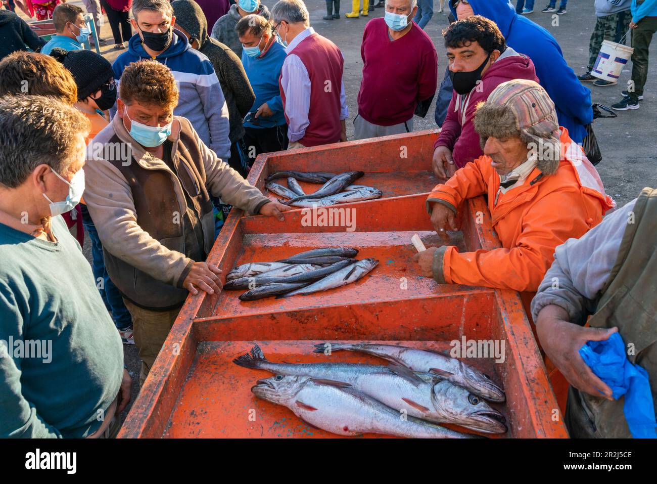 People buying fresh fish at market, Caleta Portales, Valparaiso ...