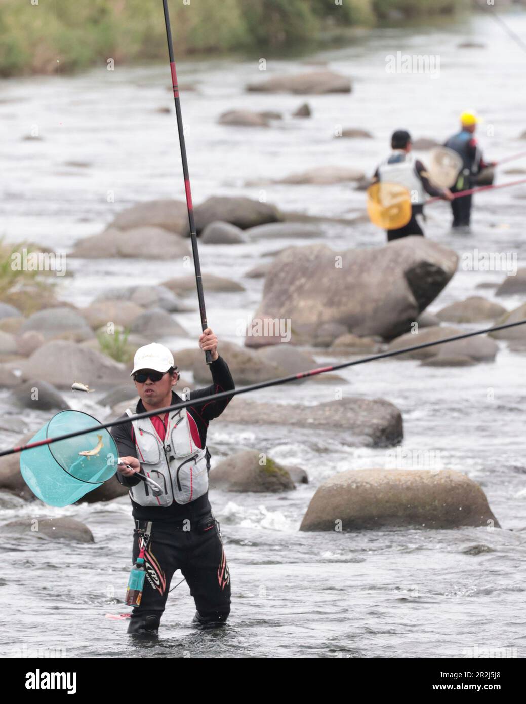 People enjoy fishing sweetfish on Oyama river in Hita ity, Oita ...
