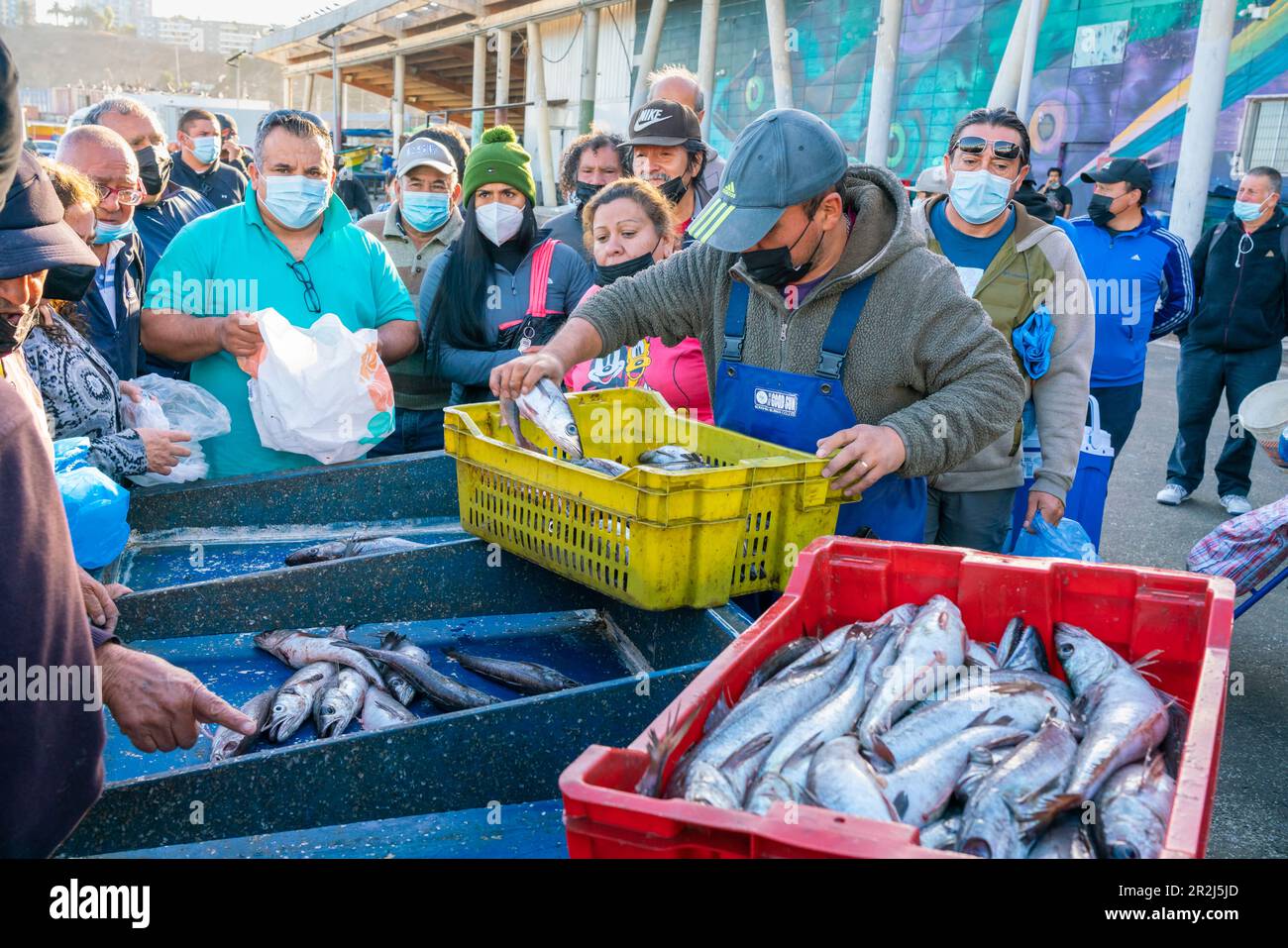 People buying fresh fish at market, Caleta Portales, Valparaiso ...