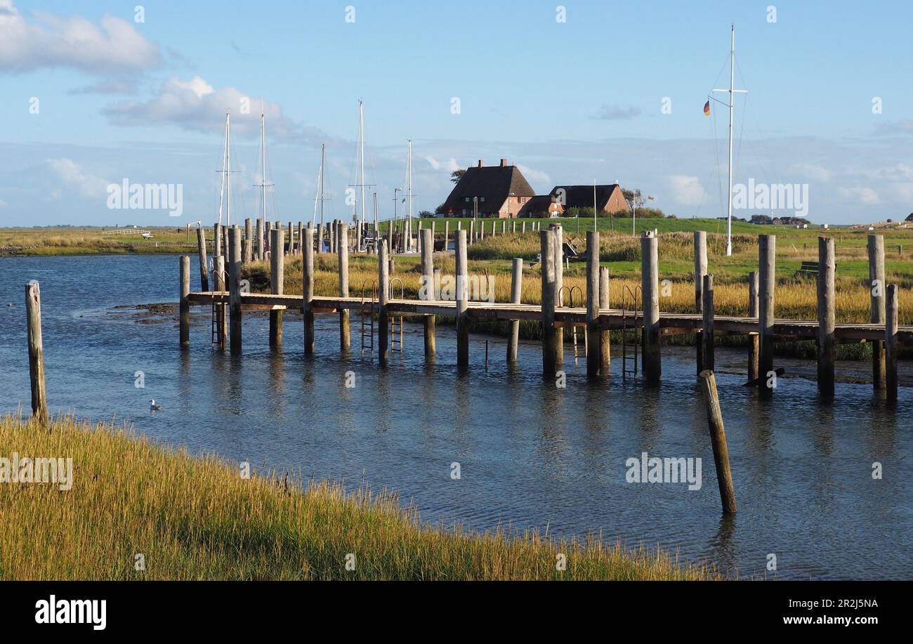 Kirchwarft, Hallig Hooge, Wadden Sea National Park, North Friesland ...