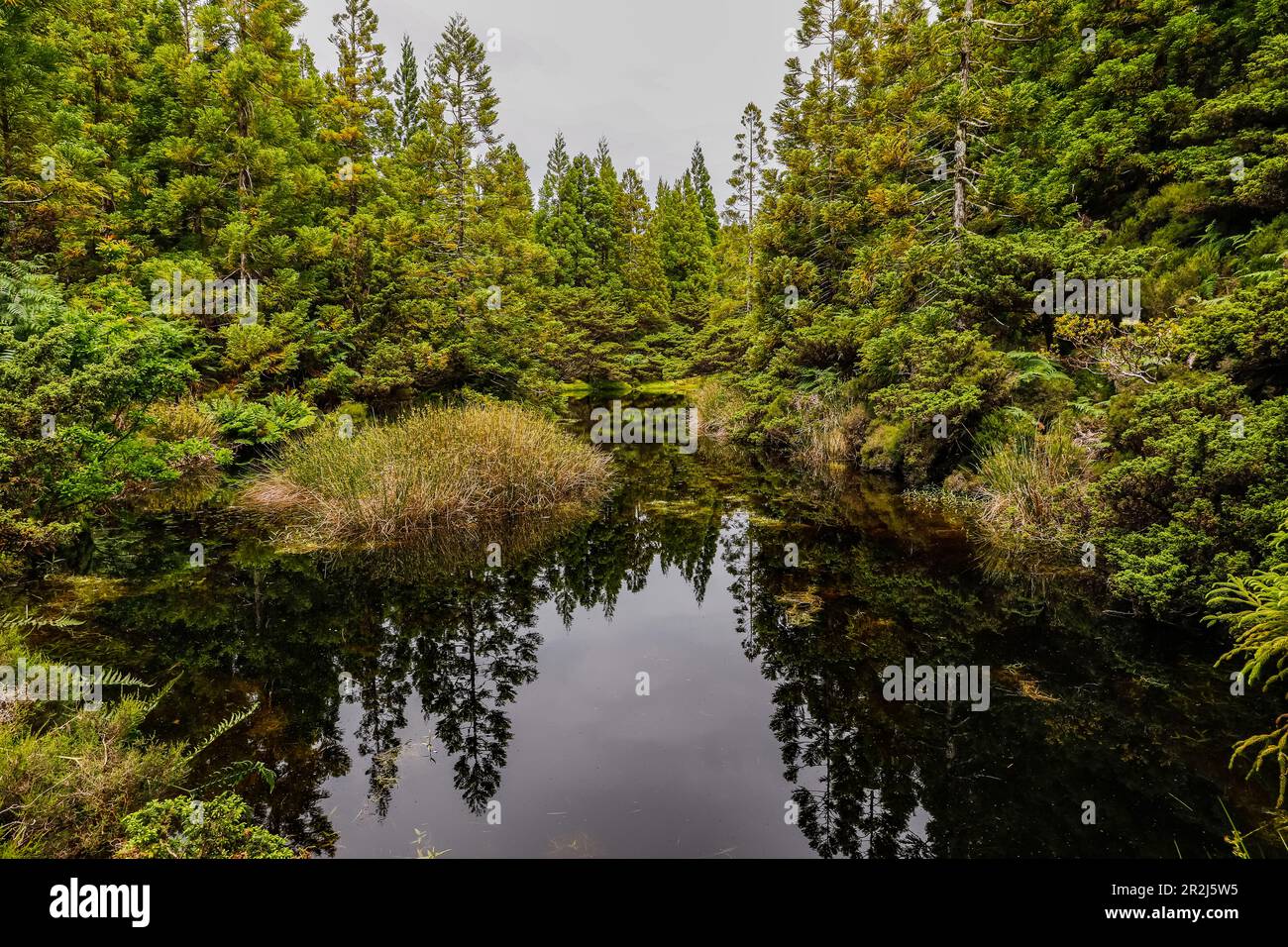 Hike Mistérios Negros in wilderness with lush nature by a lake ...