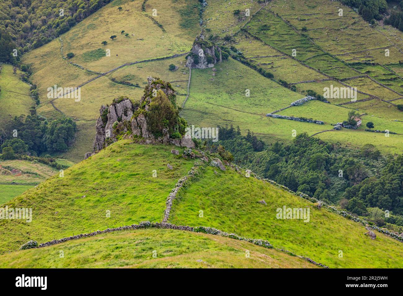 View of rocks and lush nature from Miradouro Arcos Ribeira da Cruz ...
