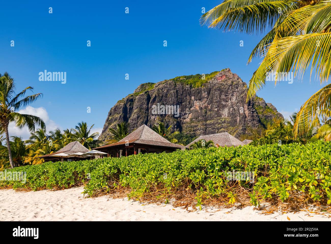 Beach huts and palm trees by the sea in front of the prominent Le Morne ...