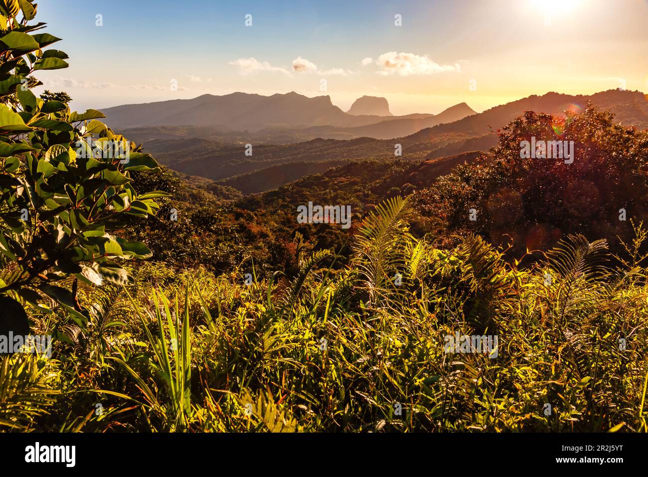 Rain forest and lush nature are just as much at home on the island of ...