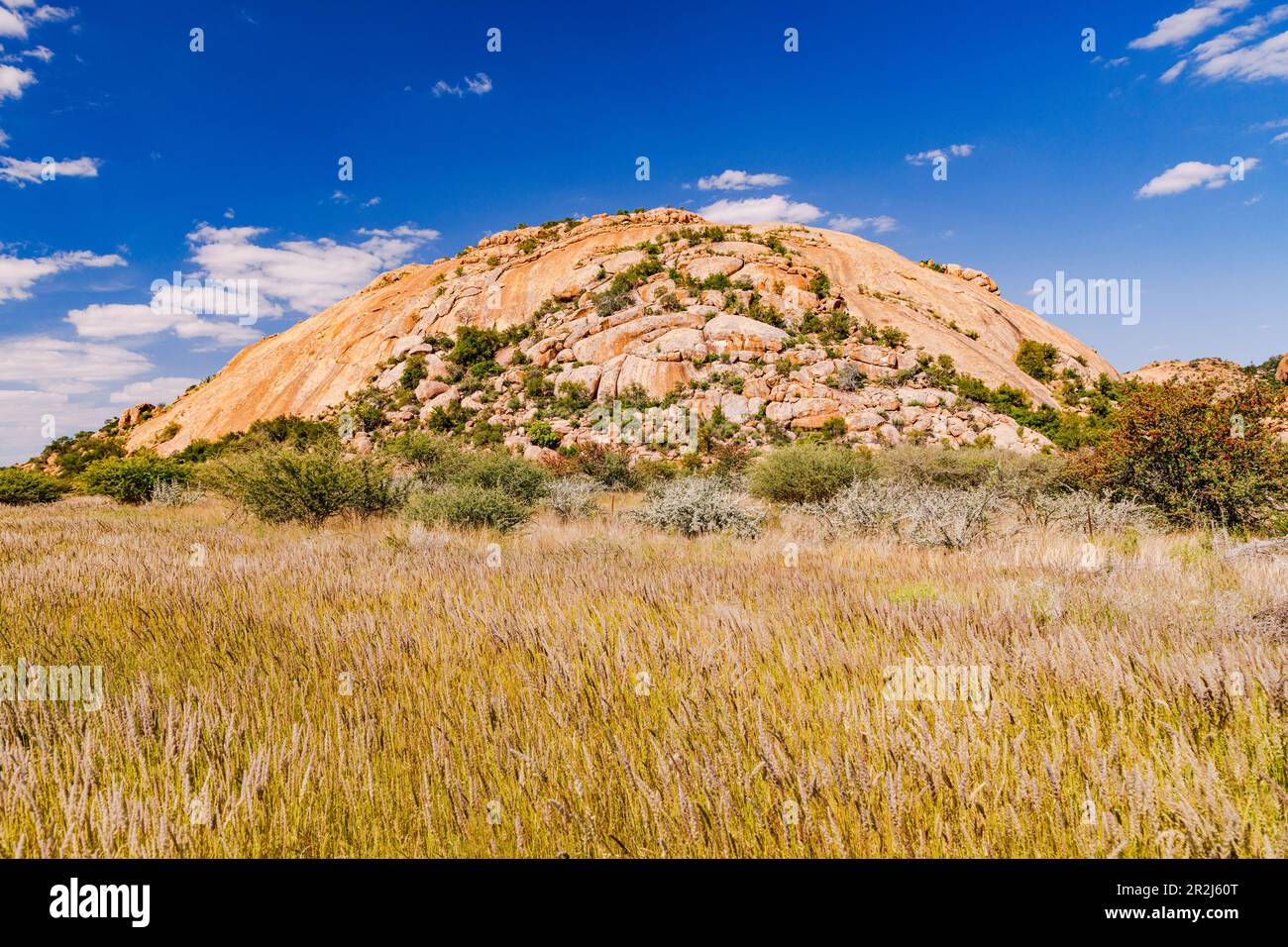 A meadow with bushland in front of a prominent inselberg in the Erongo ...