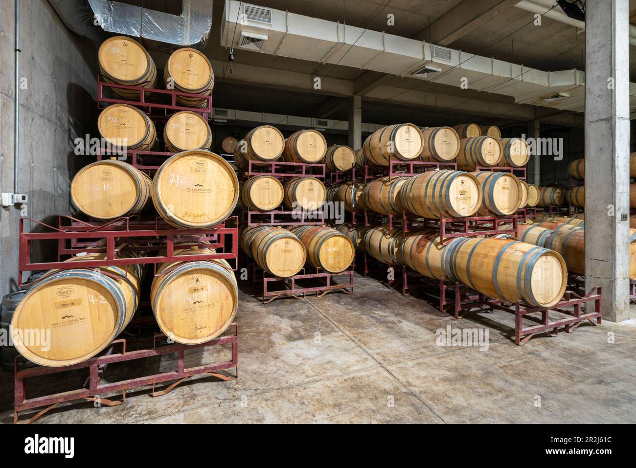 Wine cellar with barrels where wine does malolactic fermentation, El ...