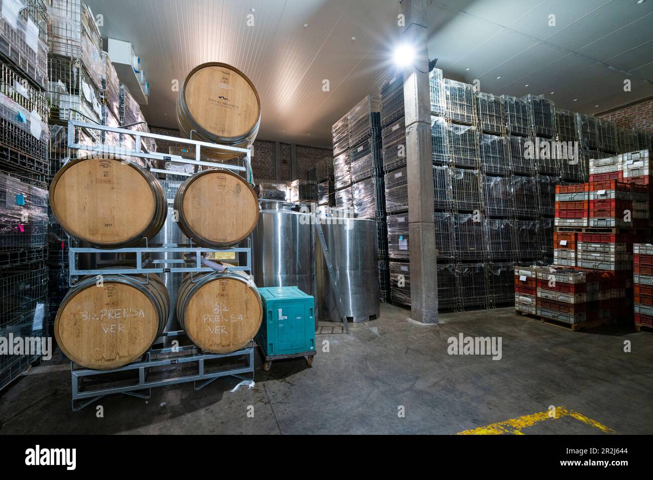 Wine cellar with barrels and crates with grapes, El Principal winery ...