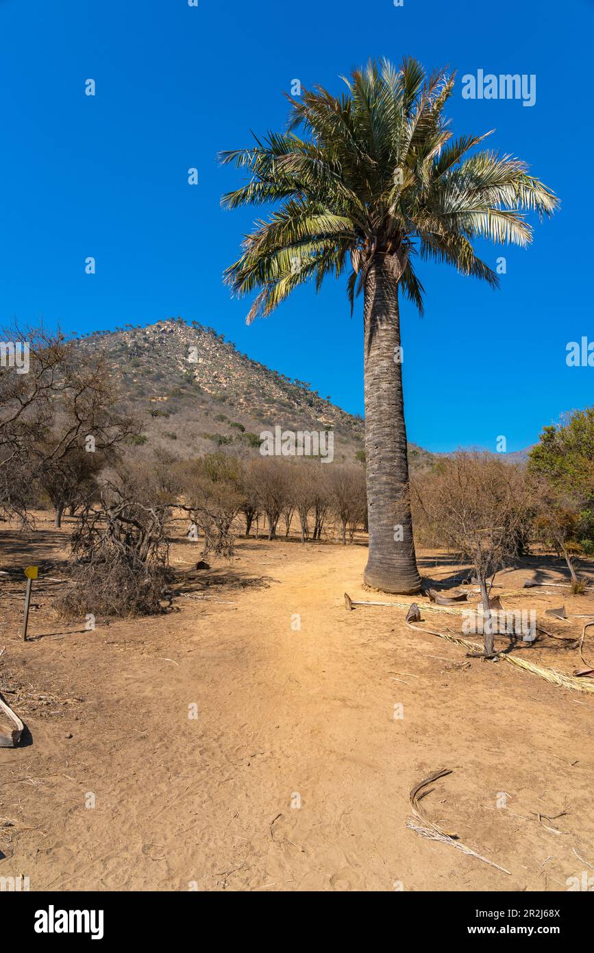 Quillota province hi-res stock photography and images - Alamy