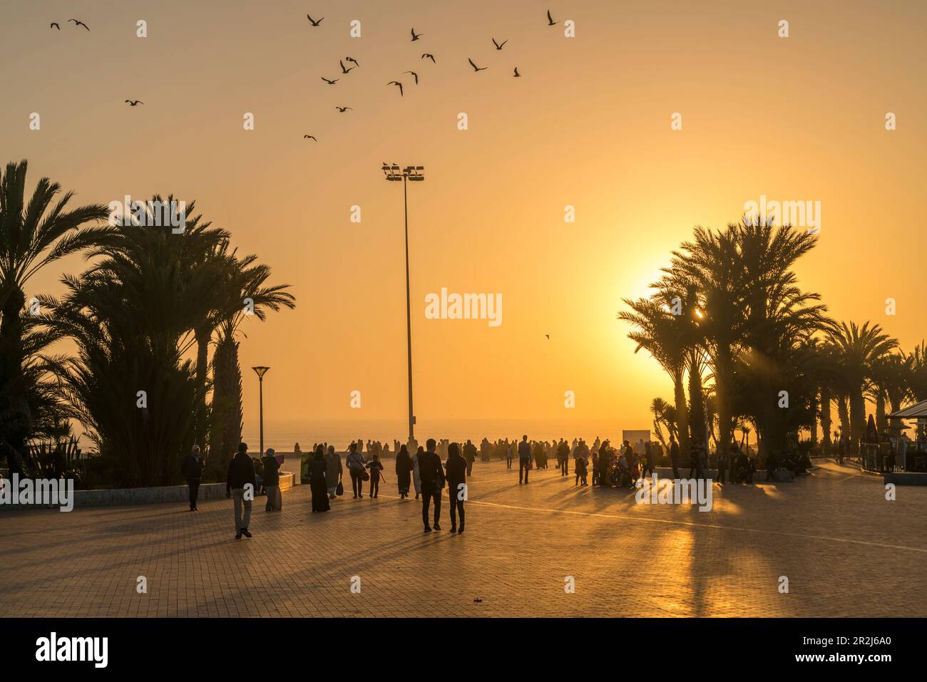 Sunset at the beach Promenade in Agadir, Kingdom of Morocco, Africa ...