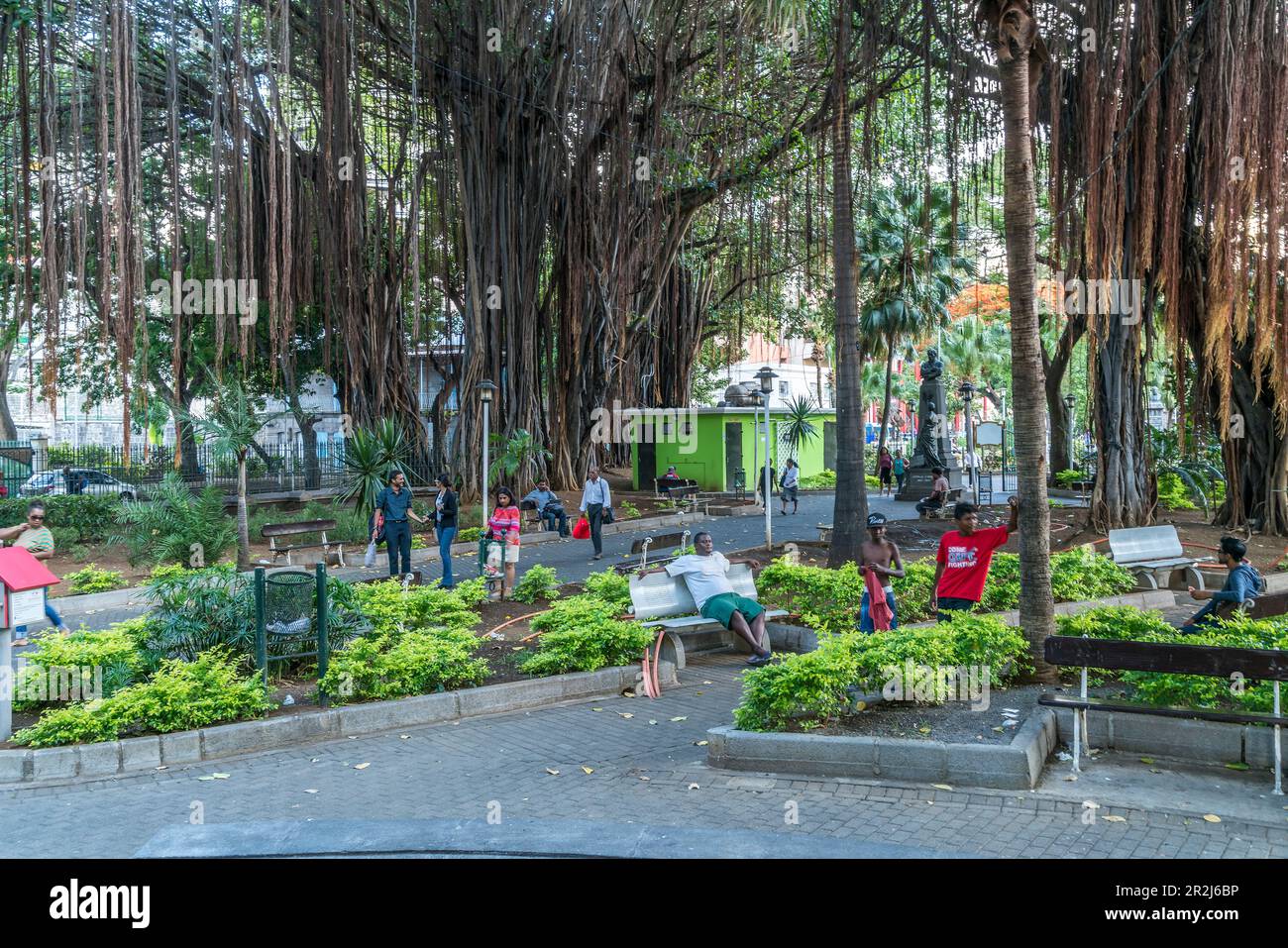 Company Garden Port Louis, Mauritius, Africa Stock Photo - Alamy