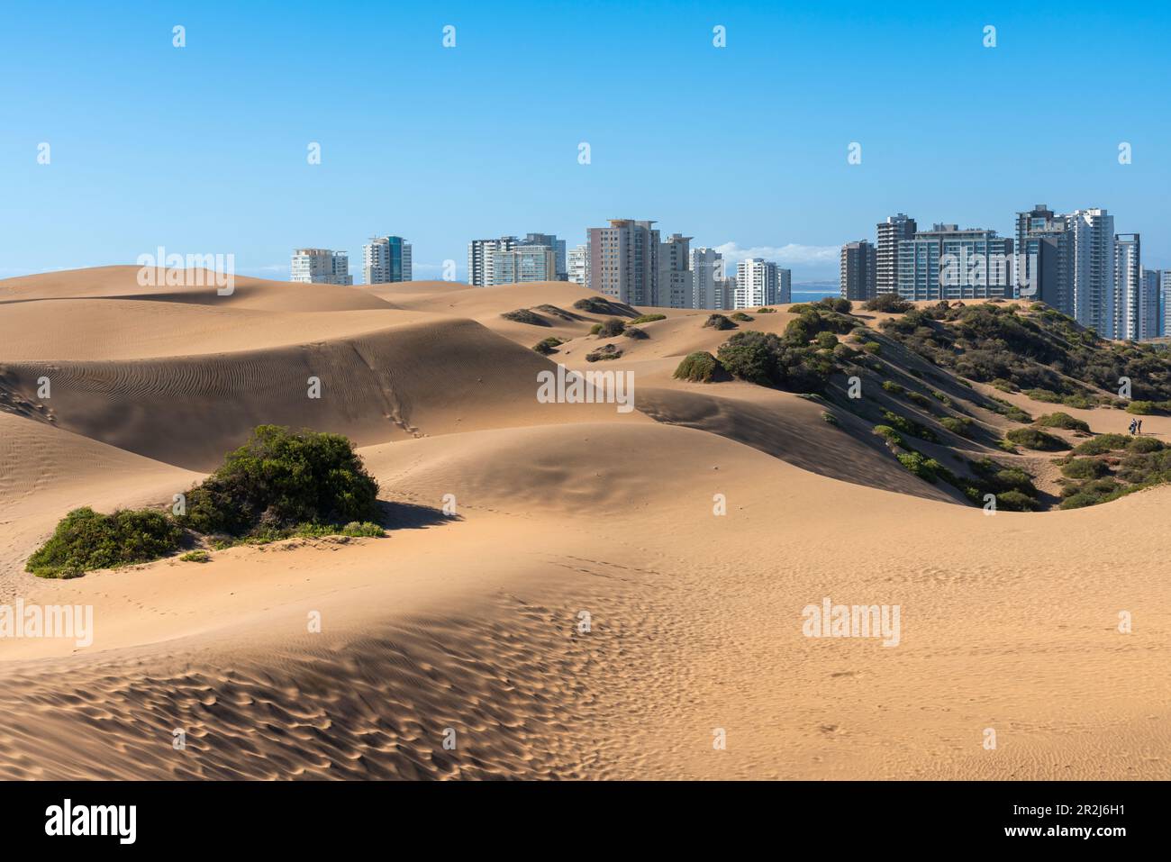 Sand dunes and residential high-rise buildings, Concon, Valparaiso ...