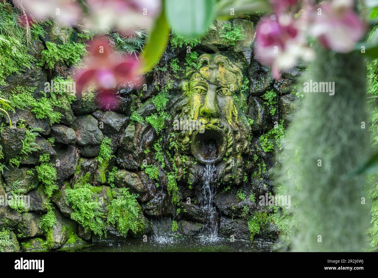 Fountain in the Orchid Grotto in La Mortella Garden in Forio, Ischia ...