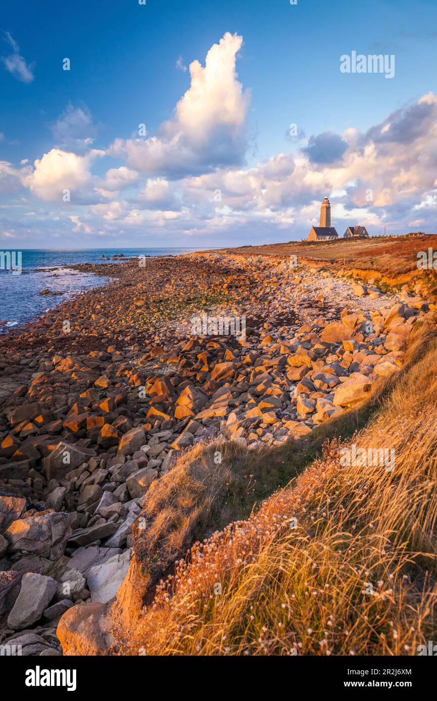 Coastal path at the Phare du Cap Lévi near Fermanville, Cotentin ...