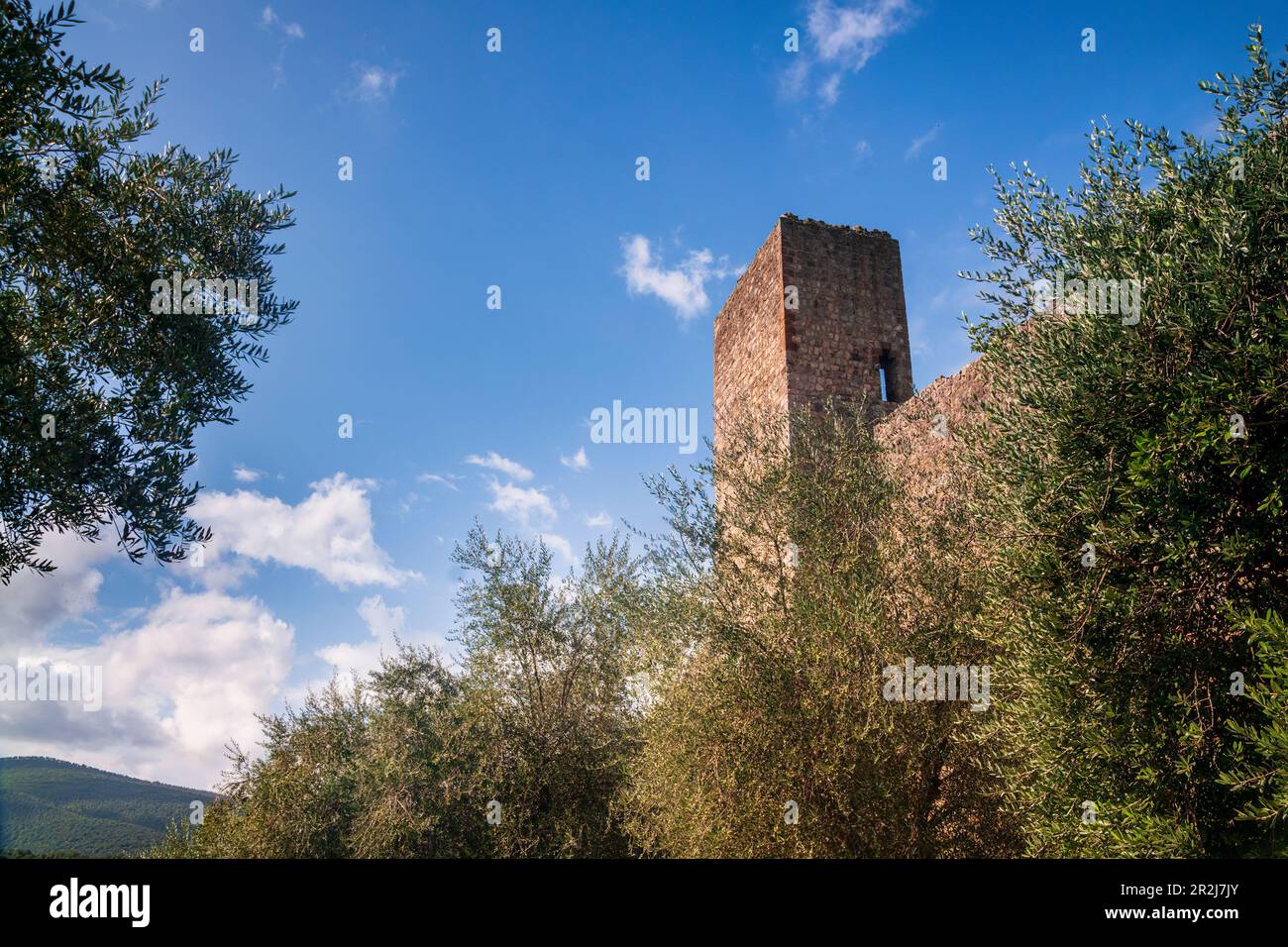Parts of the city walls of Monteriggioni, Province of Siena, Tuscany ...