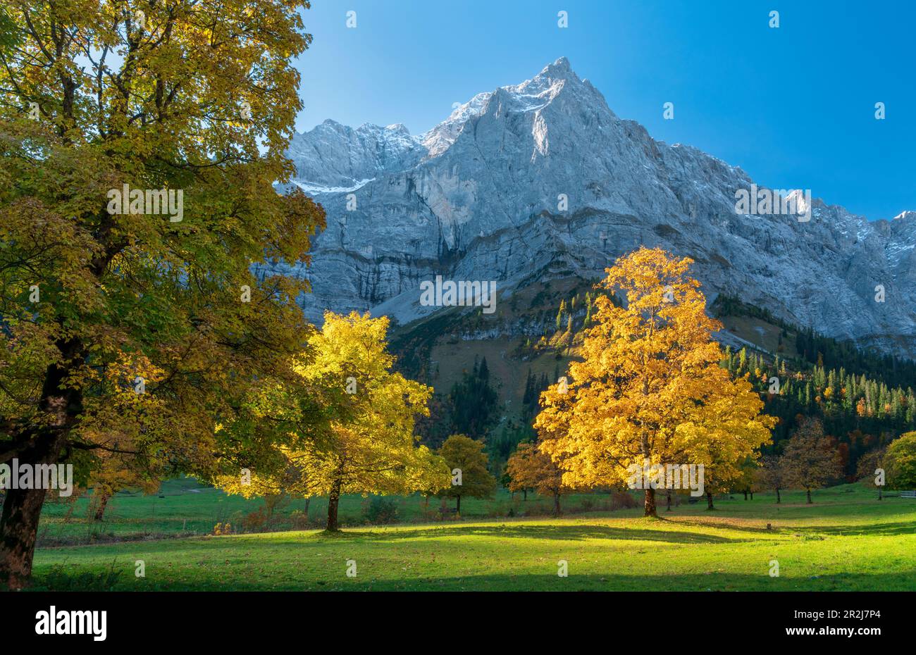 Golden autumn in the Eng, Hinterriss, Karwendel, Tyrol, Austria Stock ...
