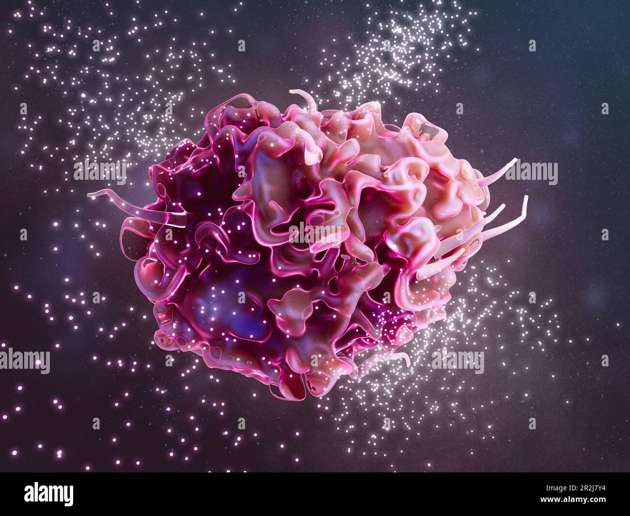 Macrophage releasing cytokines, illustration Stock Photo - Alamy