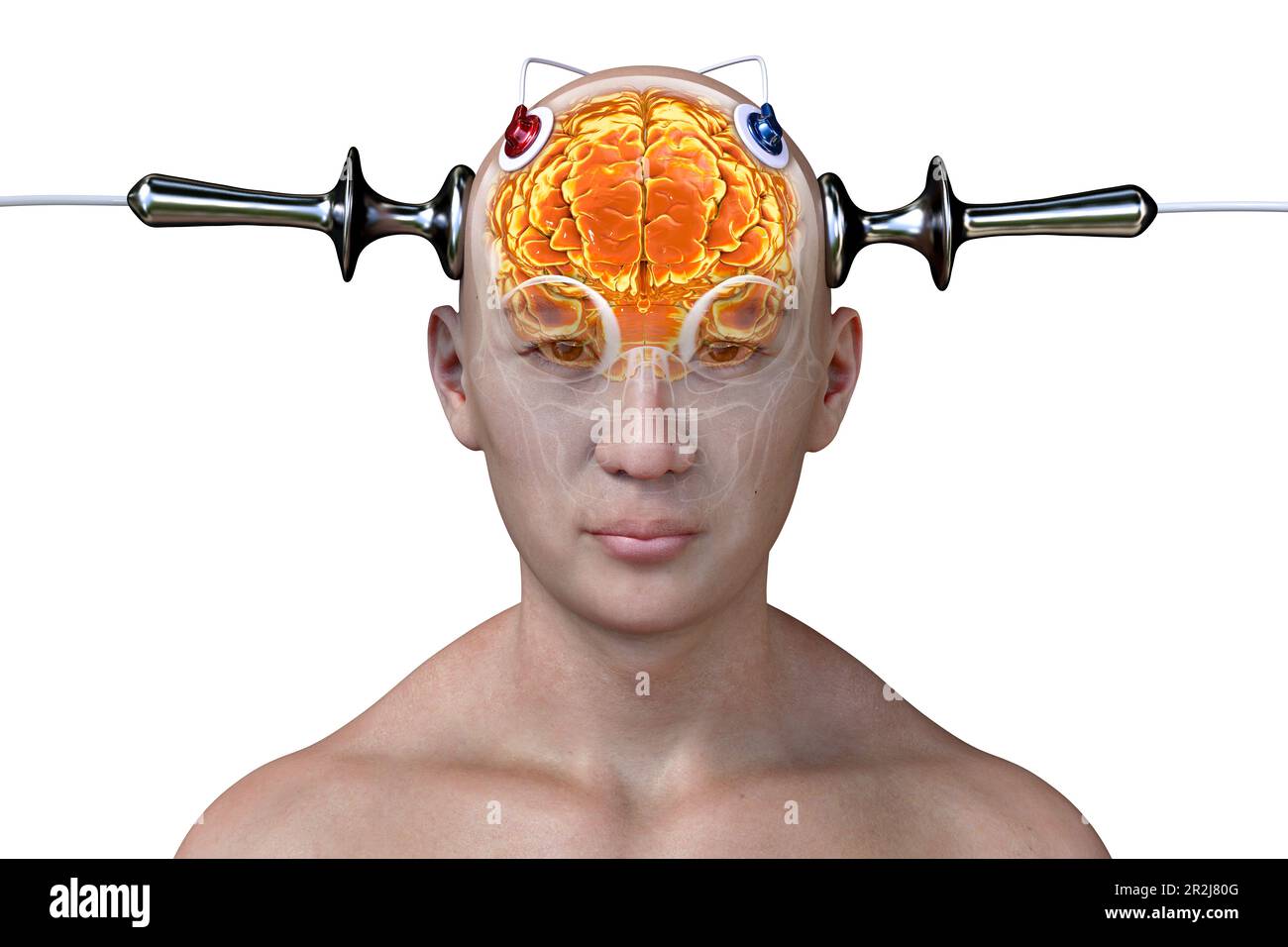 Scott Vermilyea's Instagram, Twitter & Facebook on IDCrawl