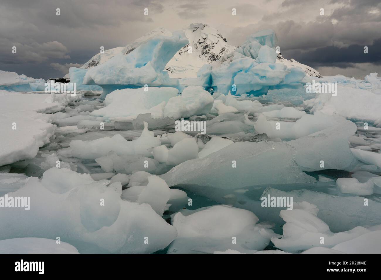 Ice drifting and iceberg in Paradise Bay, Antarctica, Polar Regions ...