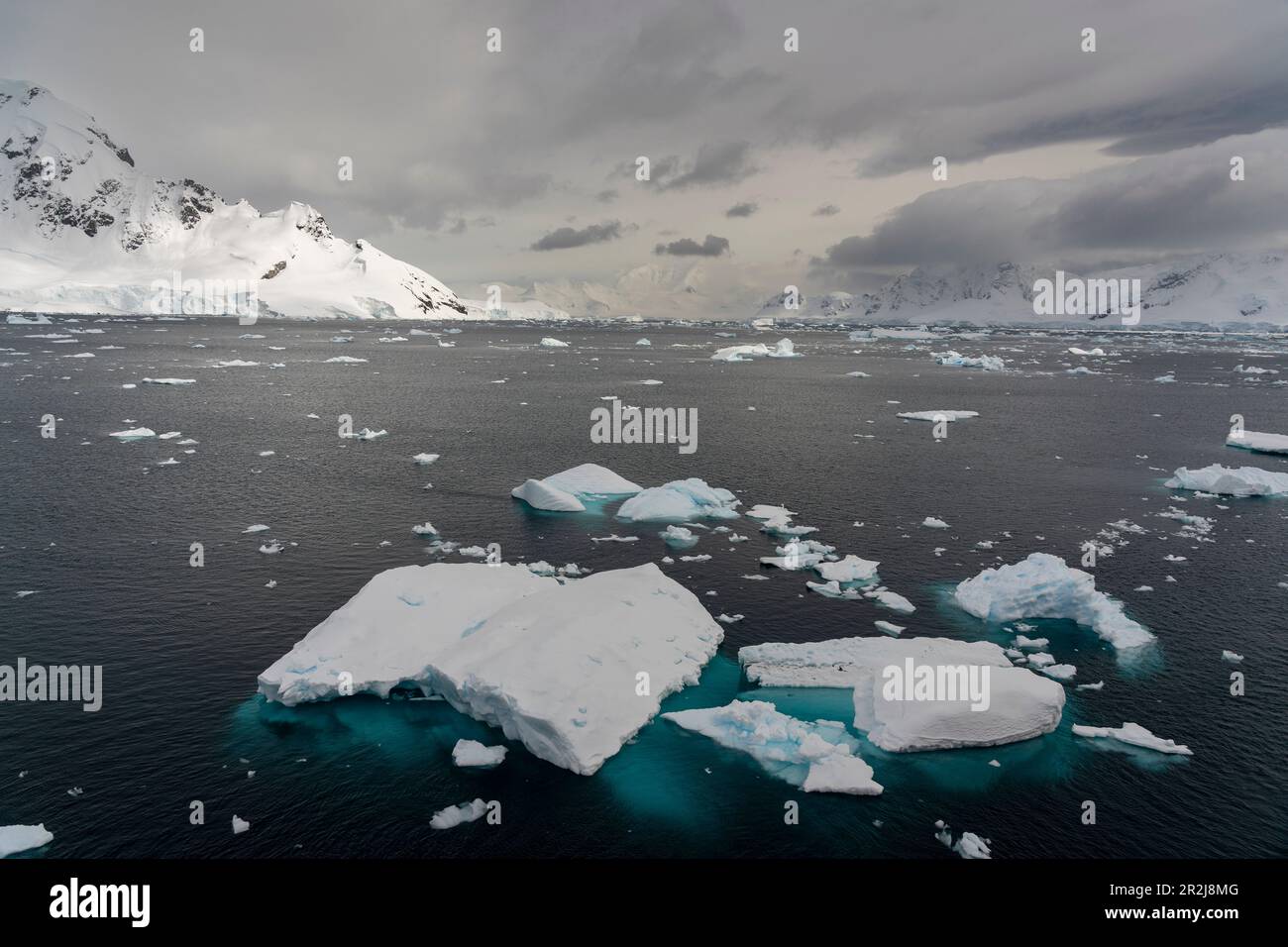 Ice drifting in Paradise Bay, Antarctica, Polar Regions Stock Photo - Alamy