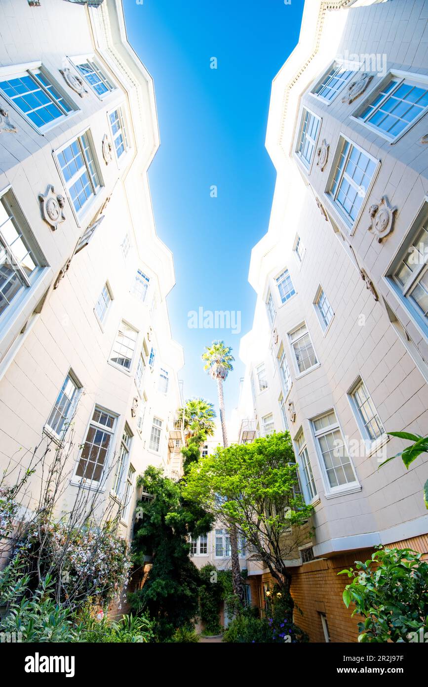 Frogs perspective hi-res stock photography and images - Alamy