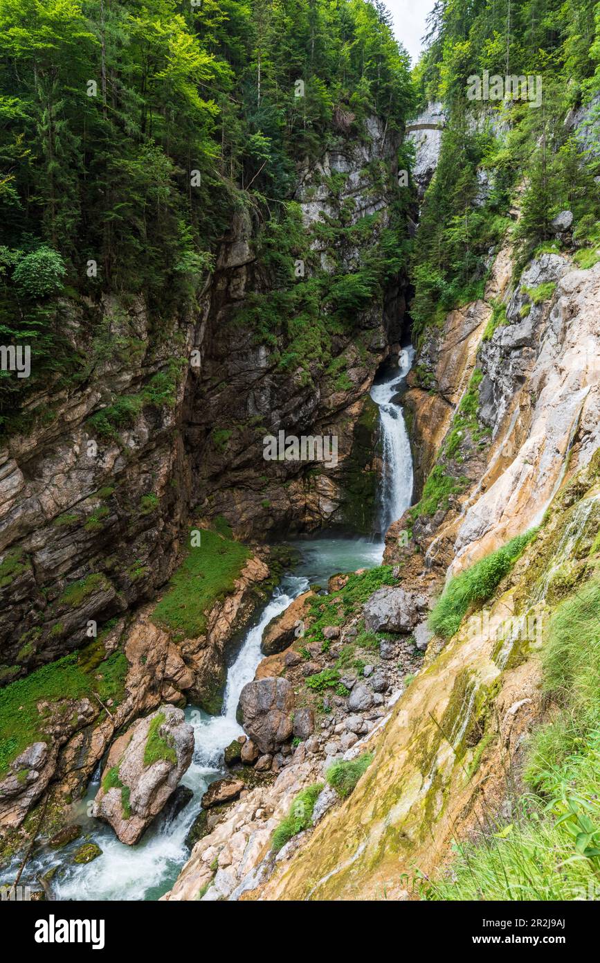 The waldbachstrub waterfall hi-res stock photography and images - Alamy