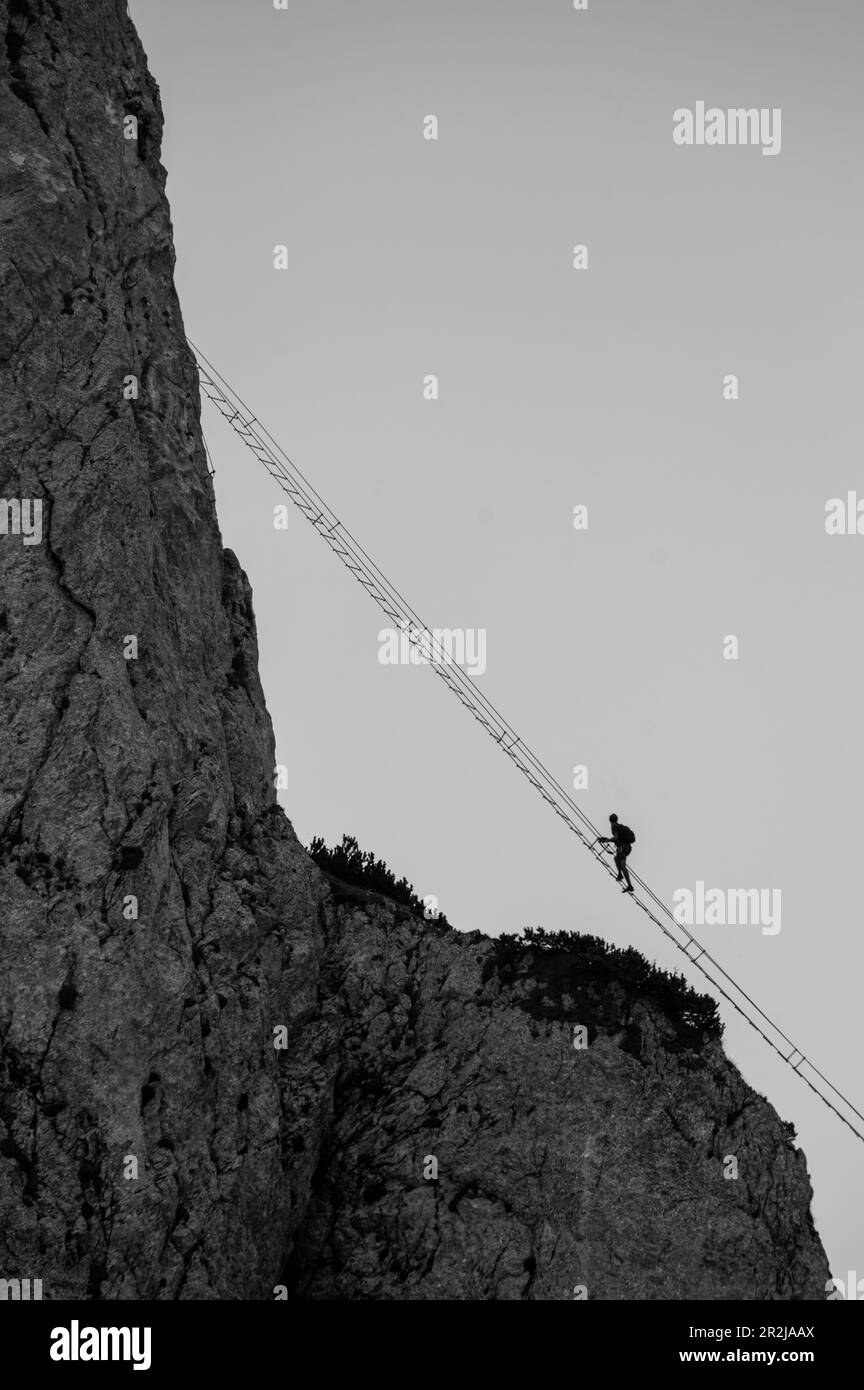 Donnerkogel via ferrata with 40m long rope ladder and climbers, Upper ...