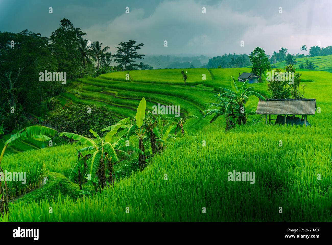 Sidemen rice terrace hi-res stock photography and images - Alamy