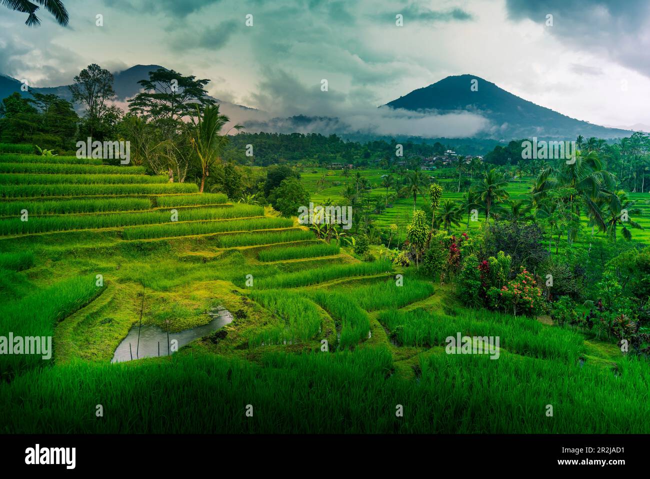 View of Sidemen Rice Terrace, Sidemen, Kabupaten Karangasem, Bali ...