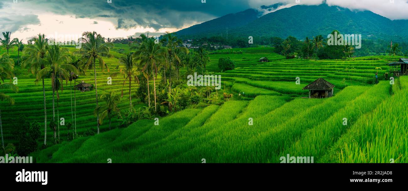 Terrace buildings southeast asia hi-res stock photography and images ...