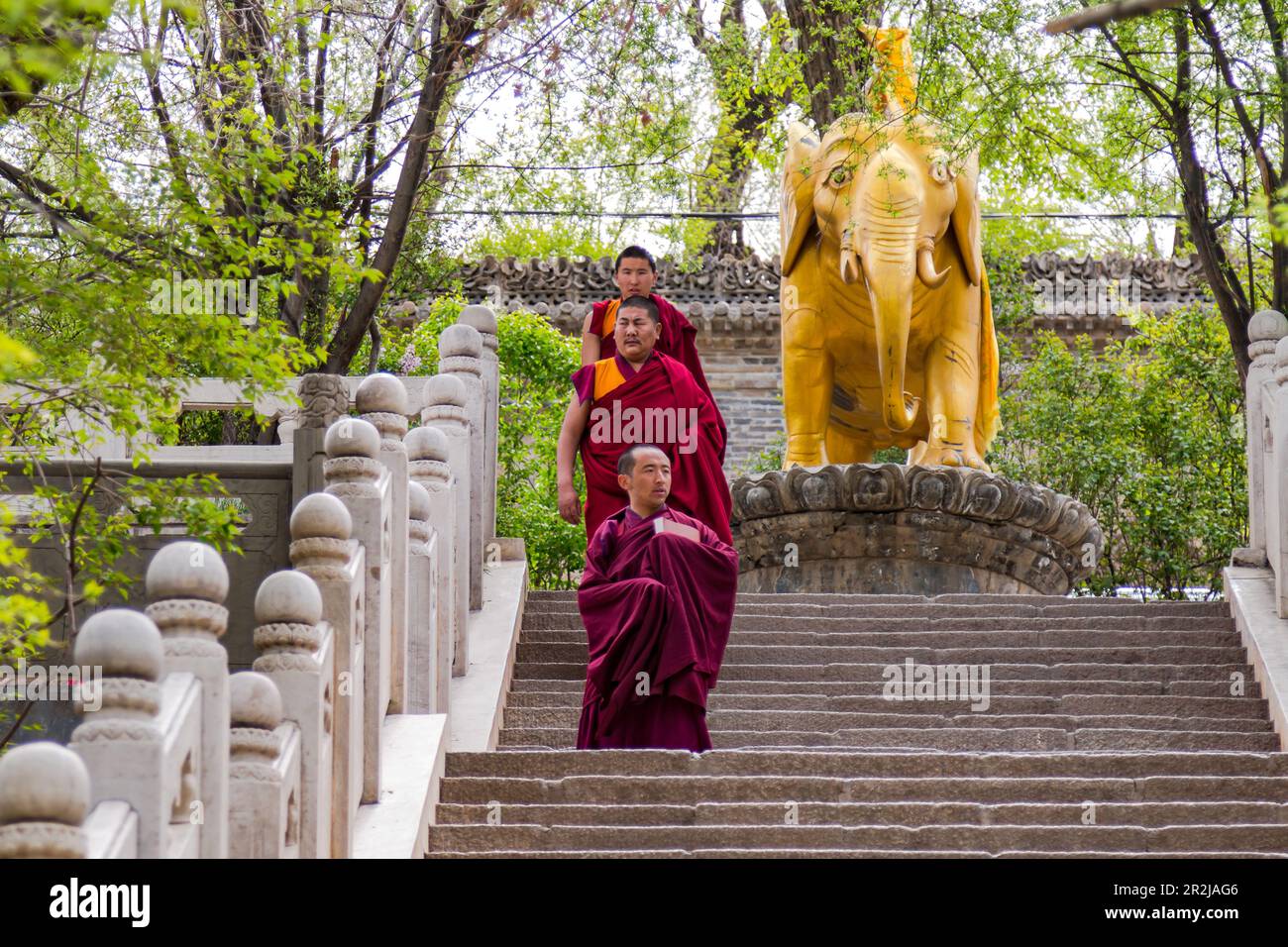 Three Tibetan monks in red robes on a staircase in front of a golden ...