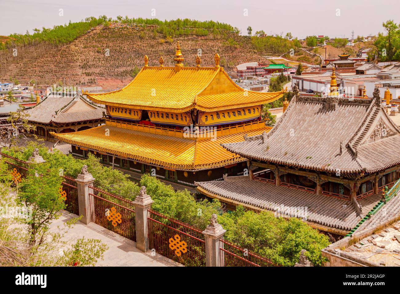 Complex of buildings with a golden roof on the grounds of Kumbum Champa ...