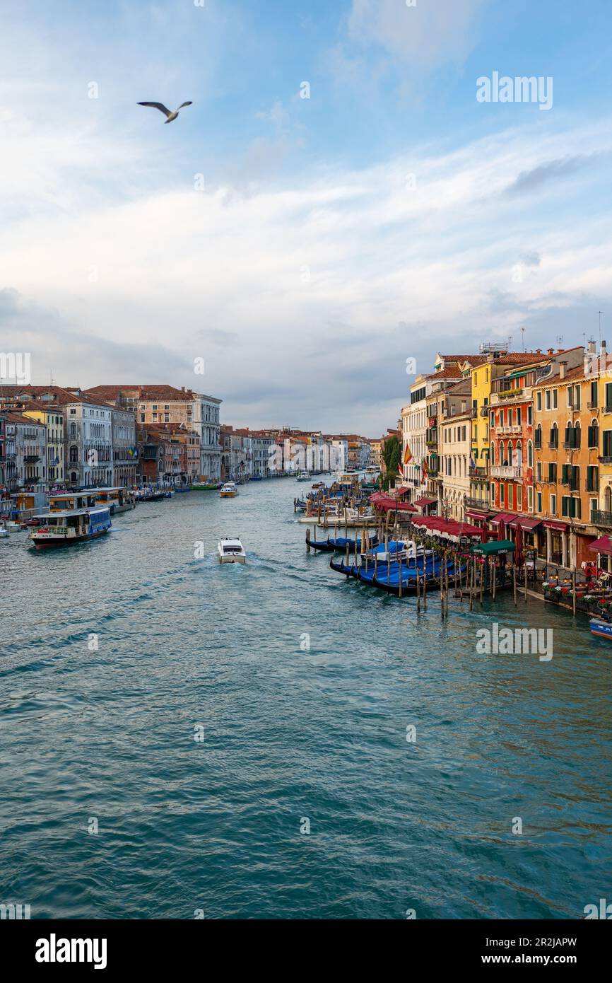 Venice - View of the Grand Canal from the Rialto Bridge Stock Photo - Alamy