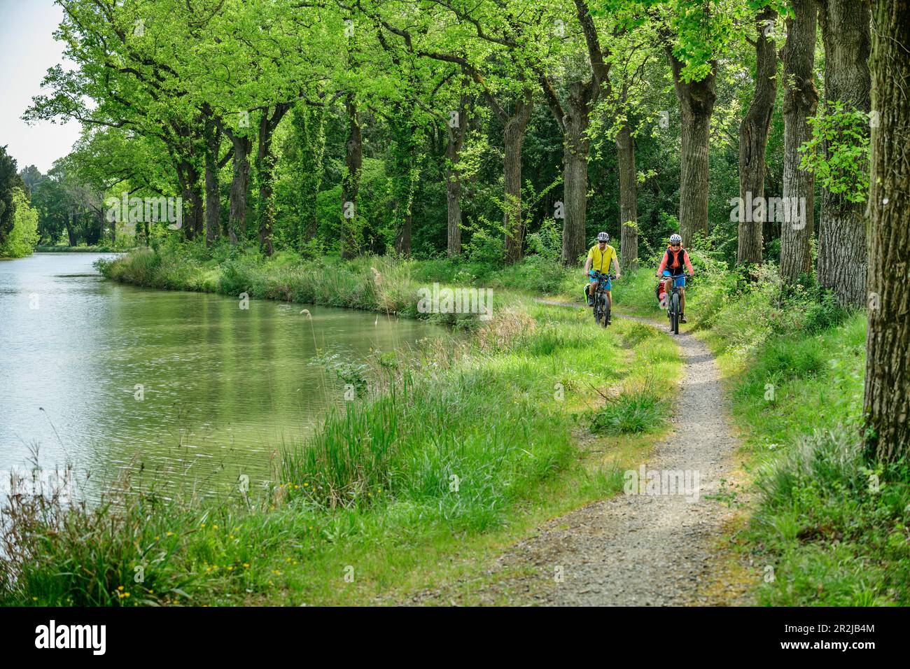 Two people cycling along the Canal du Midi, near Marseillette, Canal du ...